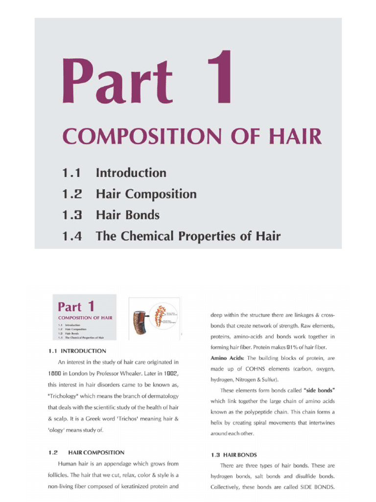 Hair Theory-1 | PDF