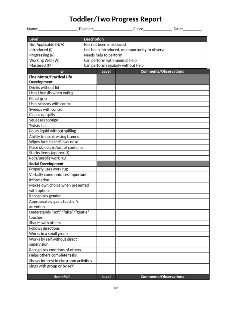 Toddler/Two Progress Report: Level Description | PDF