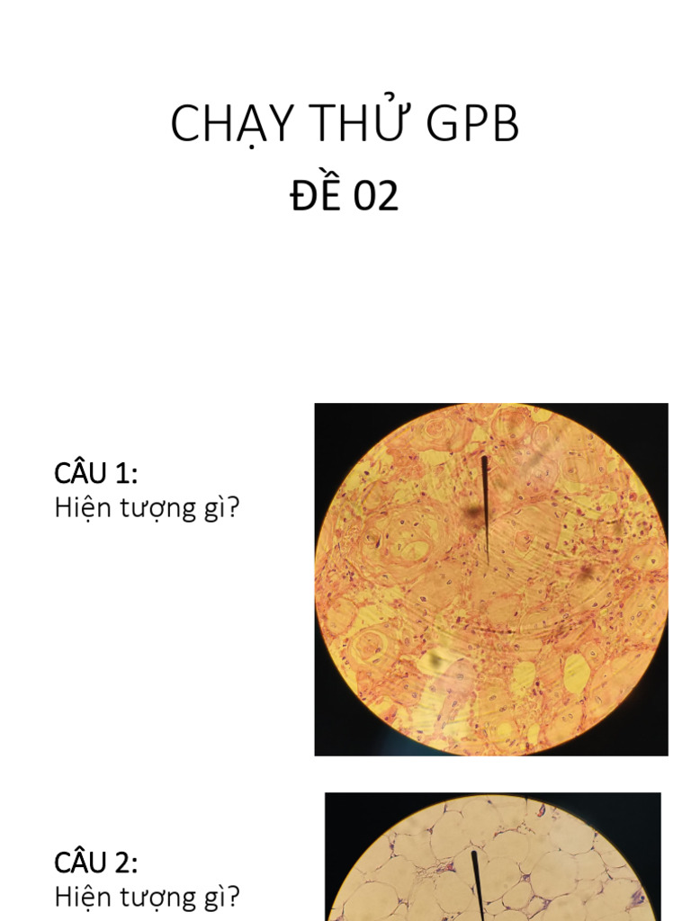 Chạy Thử GPB - 02 | PDF