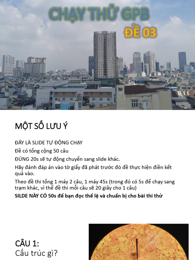 Chạy Thử GPB - 03 | PDF