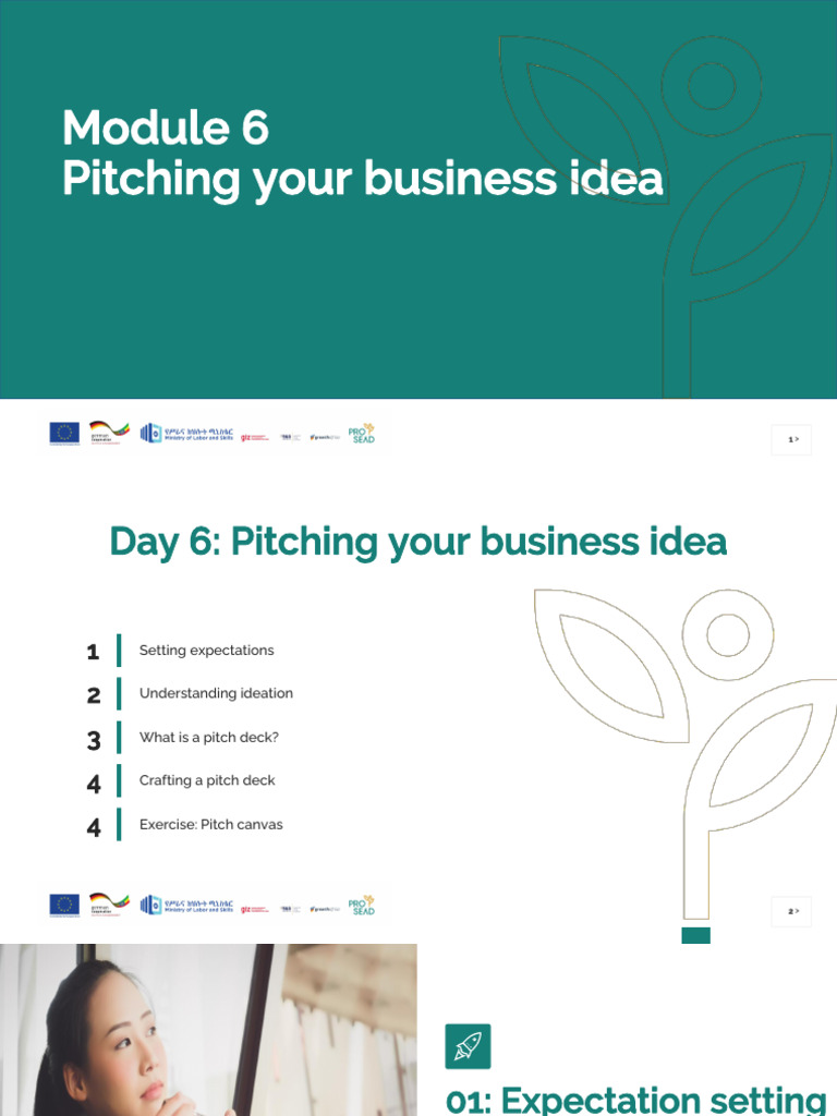 Module 6 - Pitching Your Business | PDF | Brainstorming | Business Model