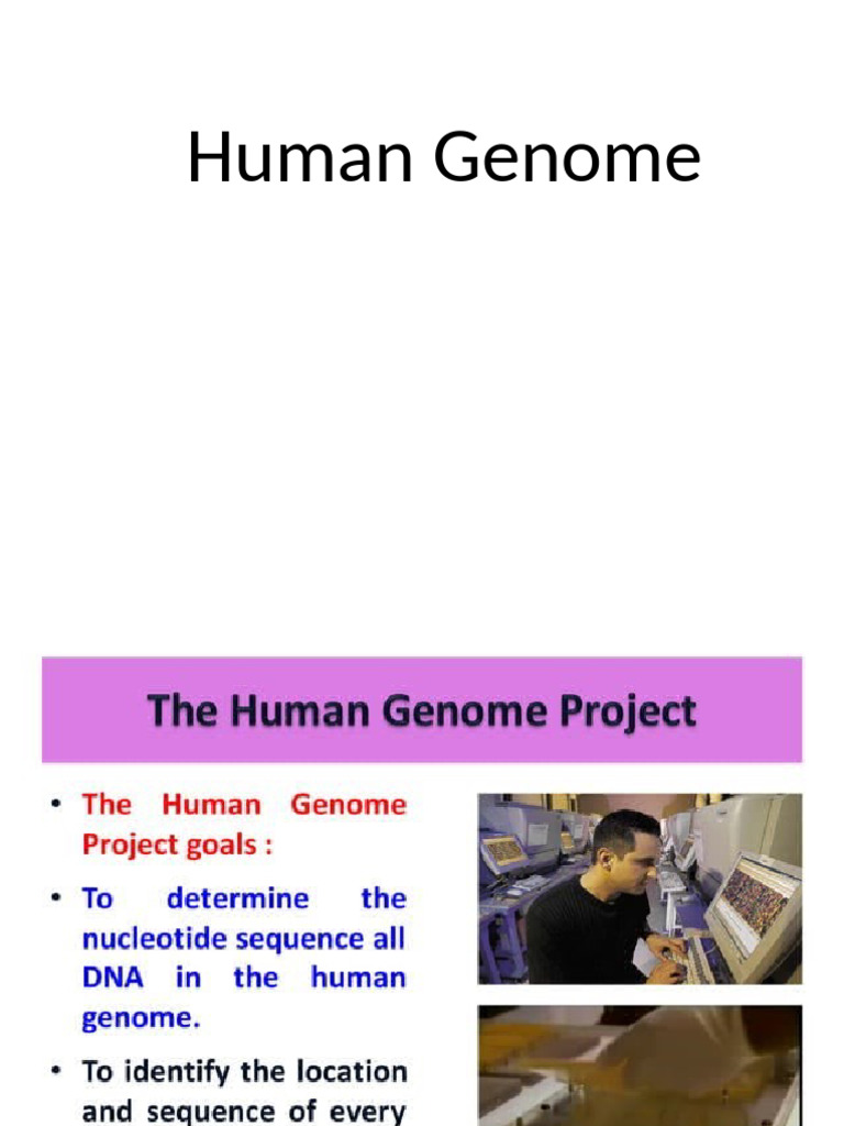 Human Genome | PDF