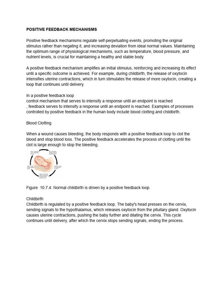 SCIENCE G6 PFMs | PDF