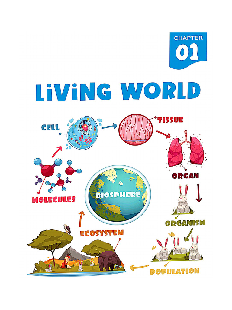 Living World | PDF