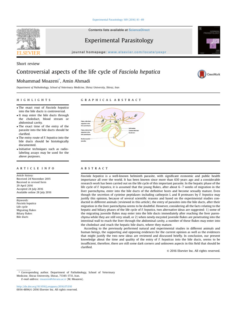 Giardiasis in Dogs and Cats. Update On Epidemiology and Public Health ...