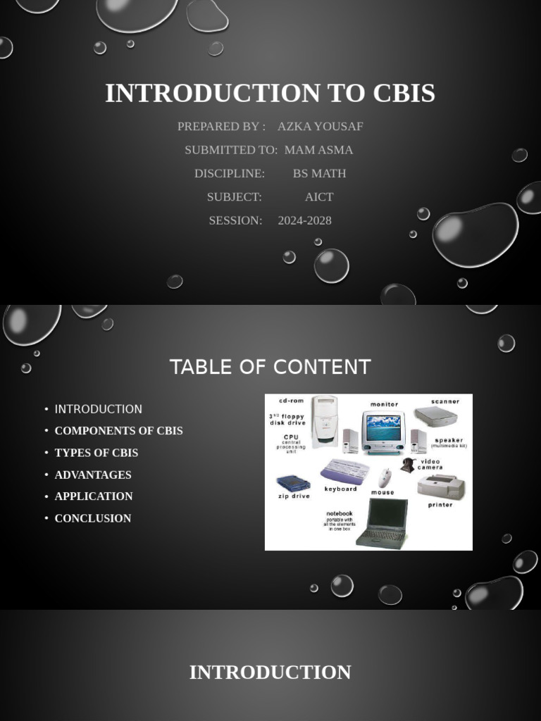 Introduction To CBIS | PDF | Computer Hardware | Information System