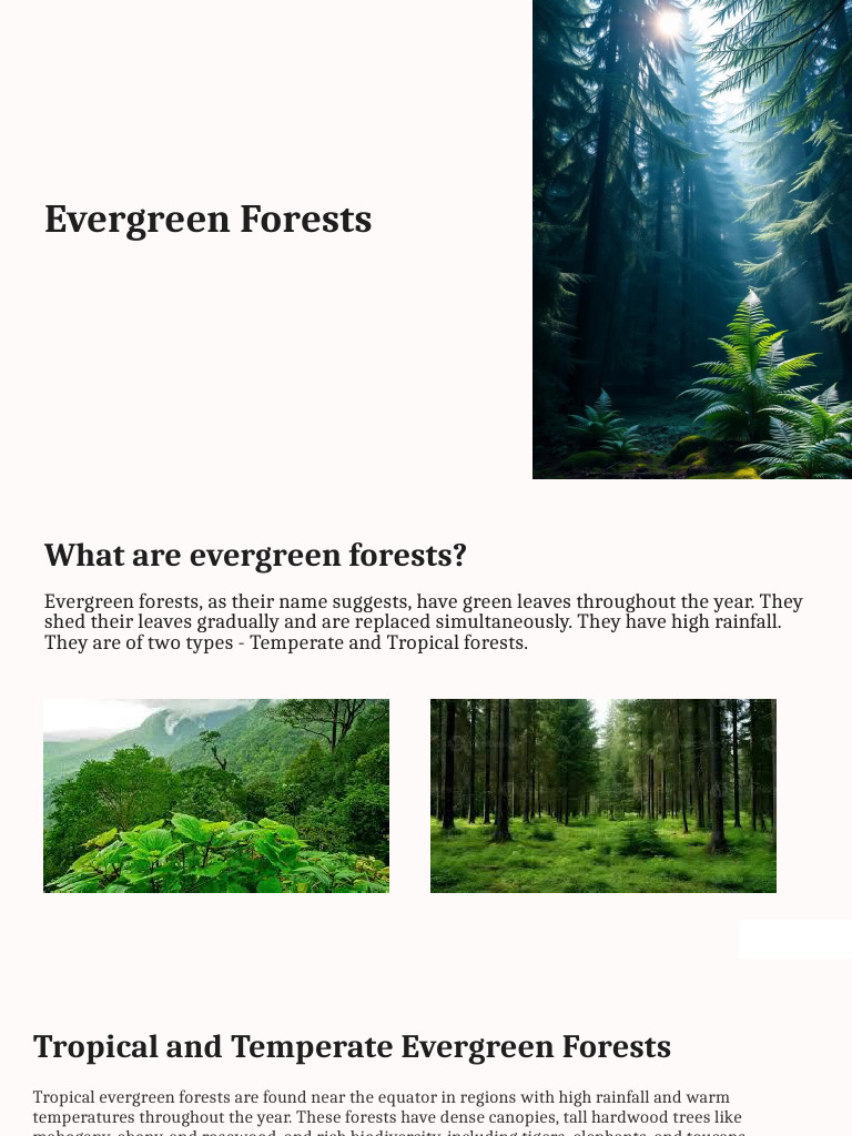 Evergreen Forests | PDF | Forests | Biogeography
