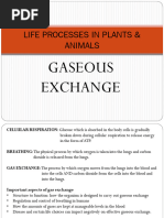 Gaseous Exchange Grade 11 | PDF | Breathing | Lung