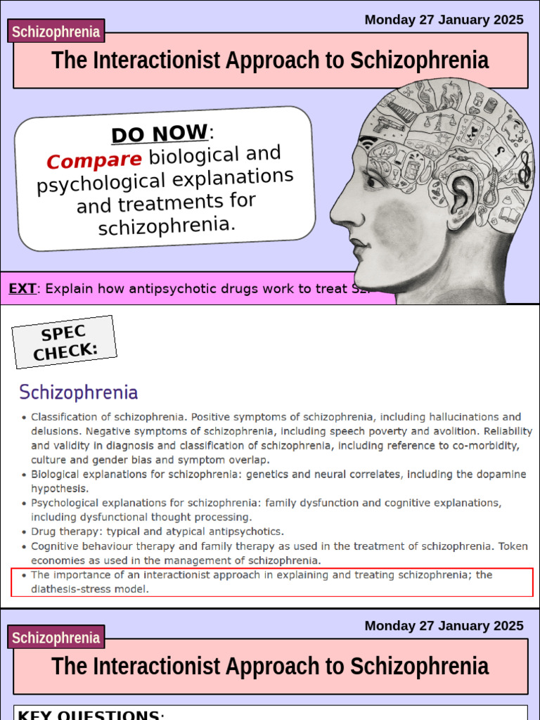 Lesson Slides the Interactionist Approach to Treating Schizophrenia ...