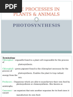 Life Sciences Gr11 Notes Photosynthesis | PDF | Photosynthesis ...