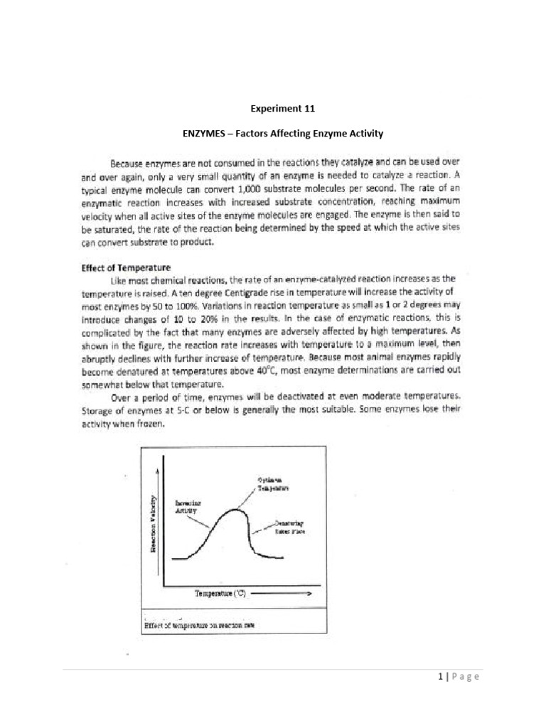 Laboratory 11 Factors Affecting Enzyme Activity 1 | PDF | Enzyme | Enzyme Assay
