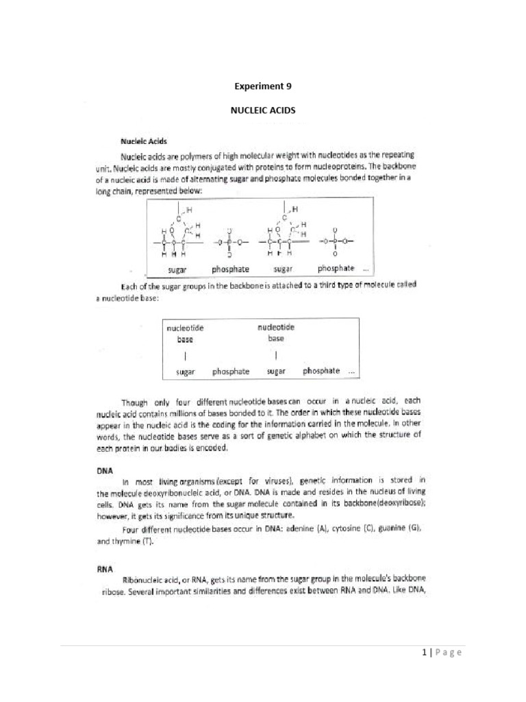 Laboratory 9 Nucleic Acid 1 | PDF | Nucleic Acids | Chemistry