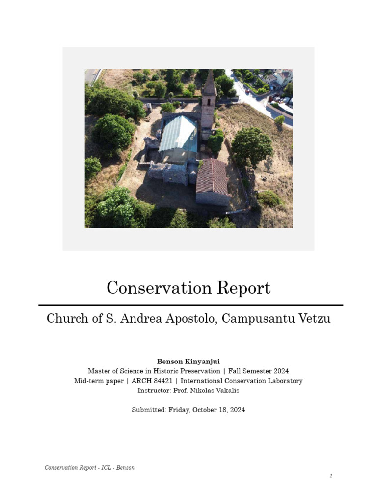 Sample Conservation Report - Benson Kinyanjui | PDF | Plaster ...