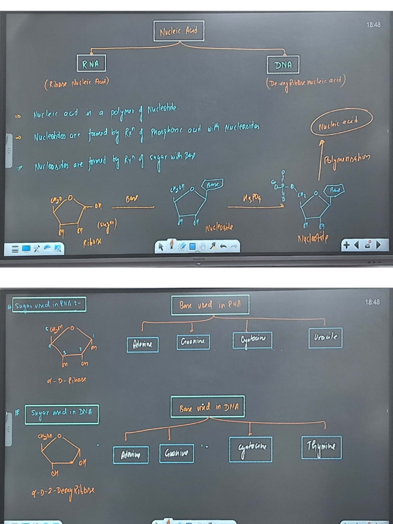 Biomolecules 4-12-24 | PDF