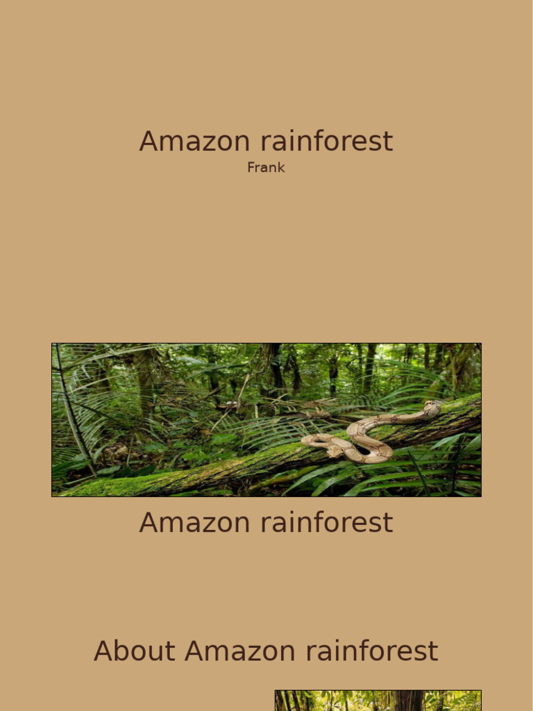 Amazon Rainforest | PDF