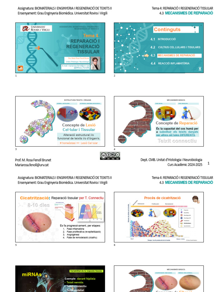 BEIRT - Tema 4 - 3 - Mecanismes de Reparació | PDF