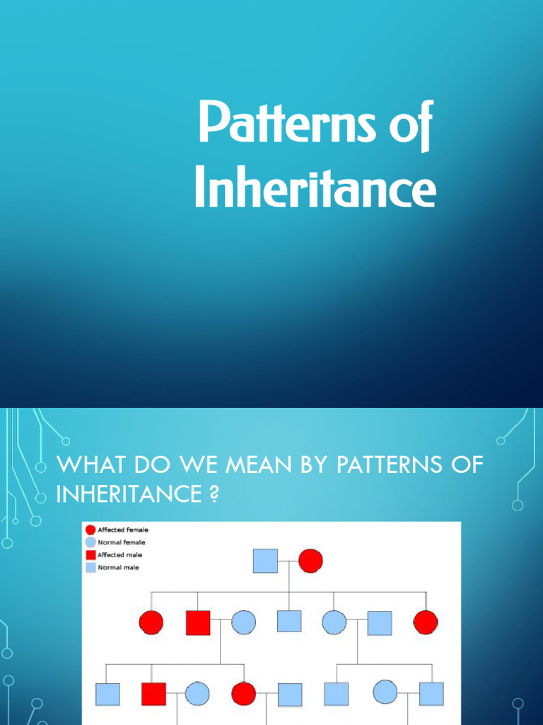 Genetics-Patterns of Inheritance - 3.Pptx | PDF | Dominance (Genetics) | Genotype