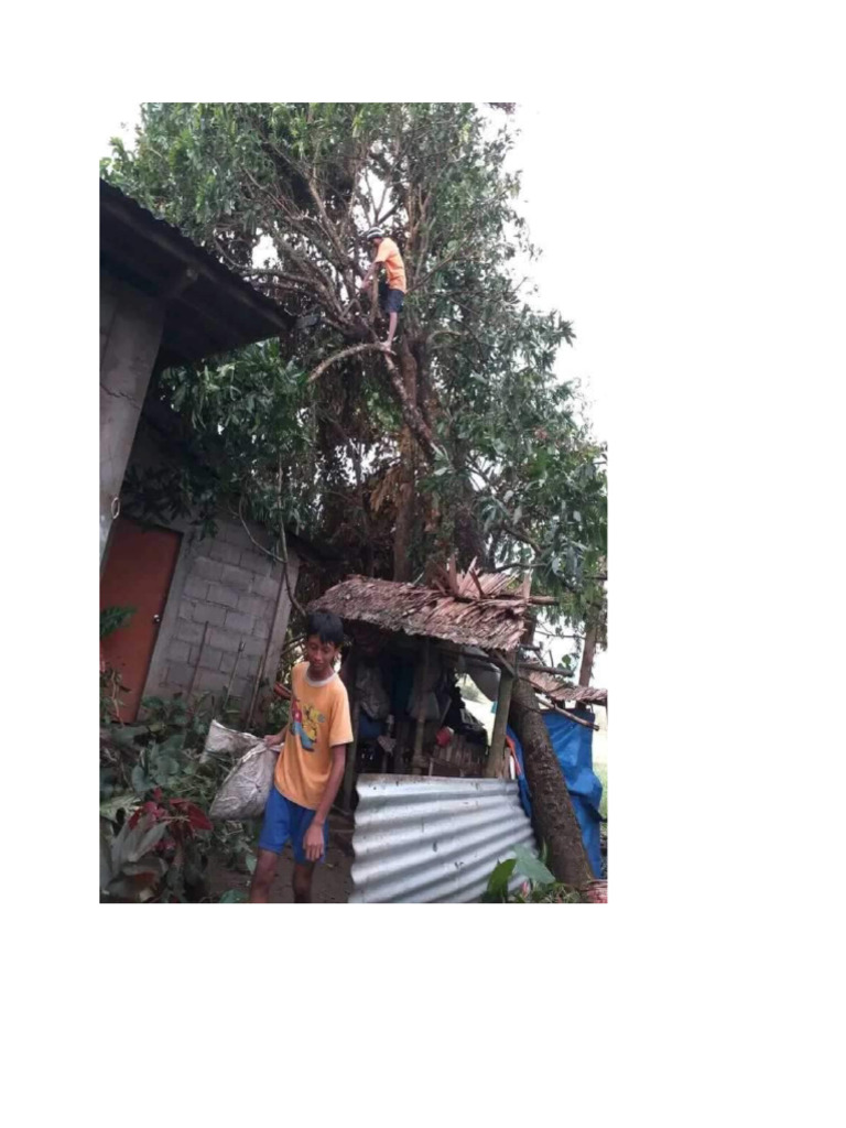 Document (1) - WPS Office | PDF