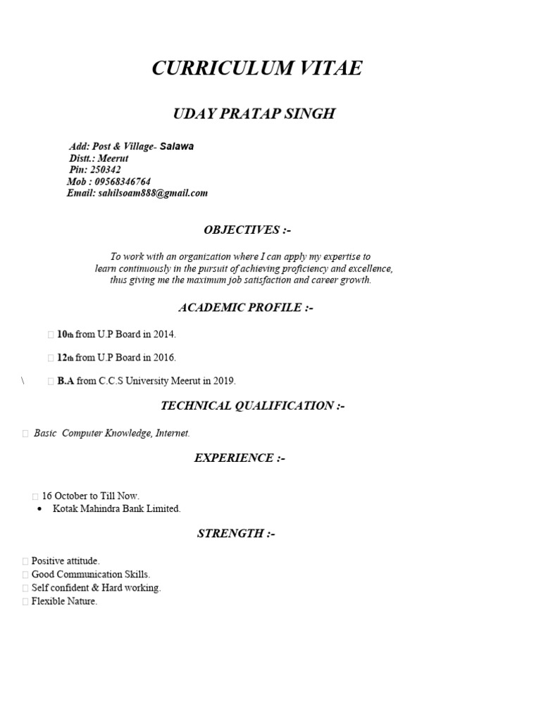 Sahil New Resume 2024 | PDF