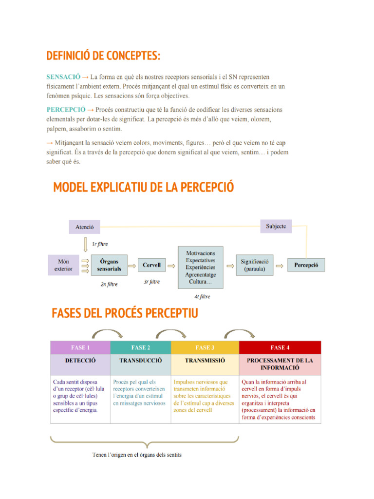 Sensació i percepció | PDF