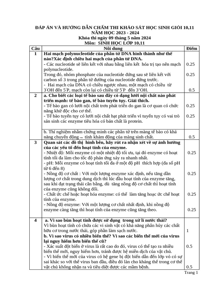 Đáp Án Đề Tk 5-Si11 | PDF