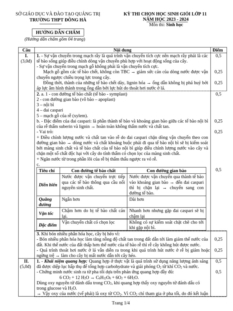 Đáp Án Đề Tk 3-Si11 | PDF