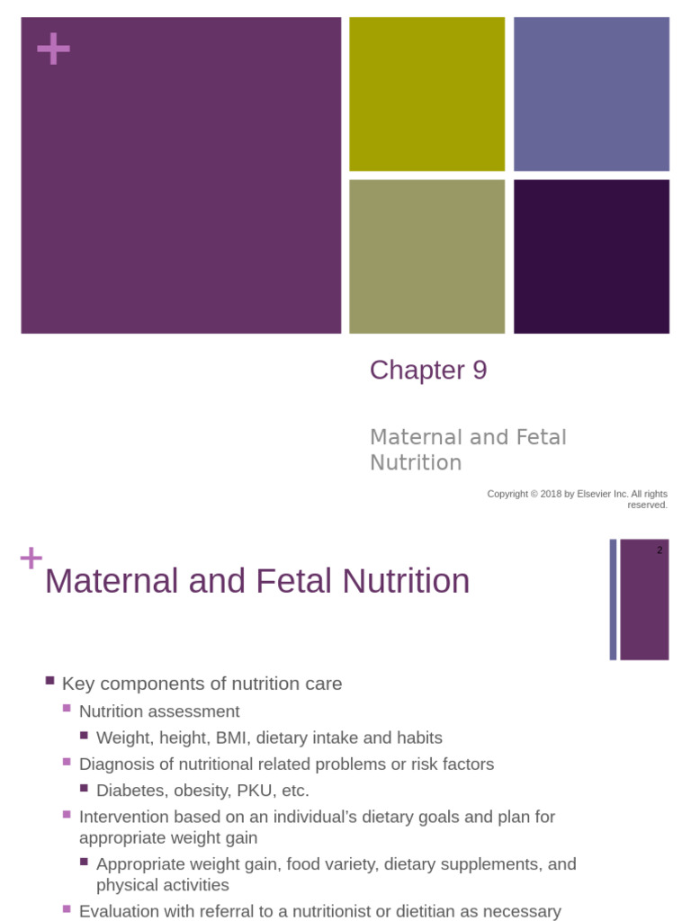 CHP 9 Maternal and Fetal Nutrition Updated | PDF | Pregnancy | Fetus
