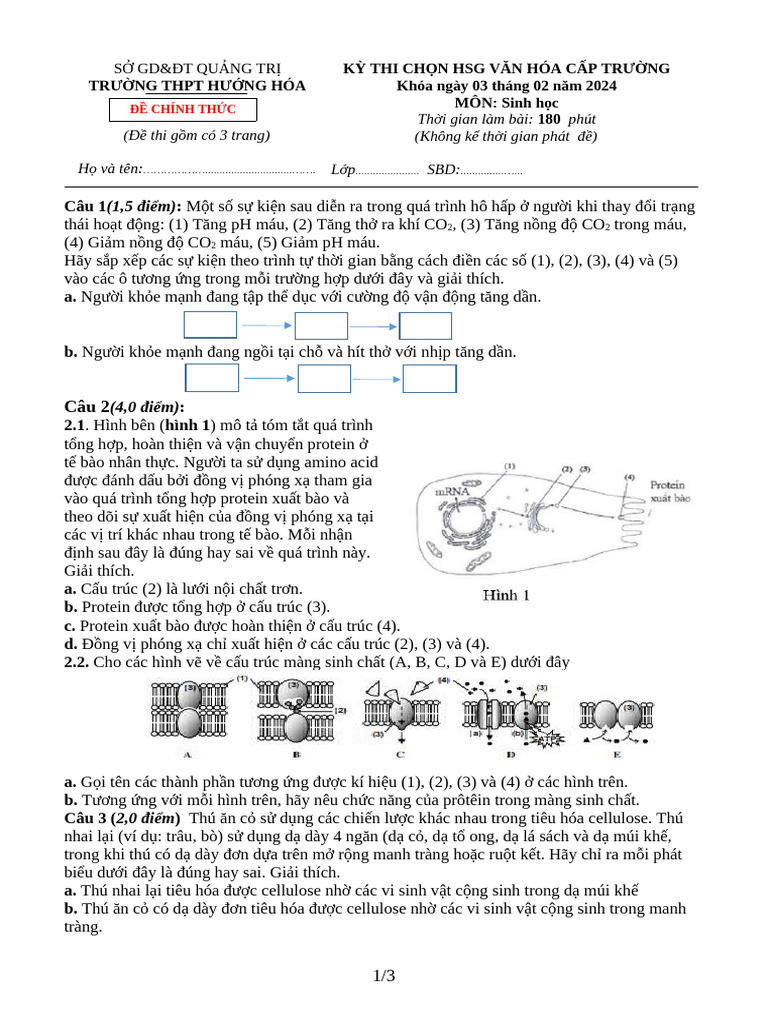 2.Đề TK 6-SI11 | PDF