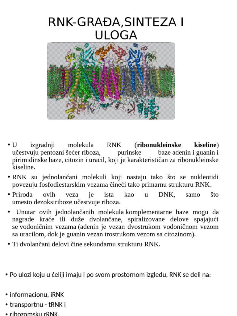 Rnk-Građa, Sinteza I Uloga | PDF