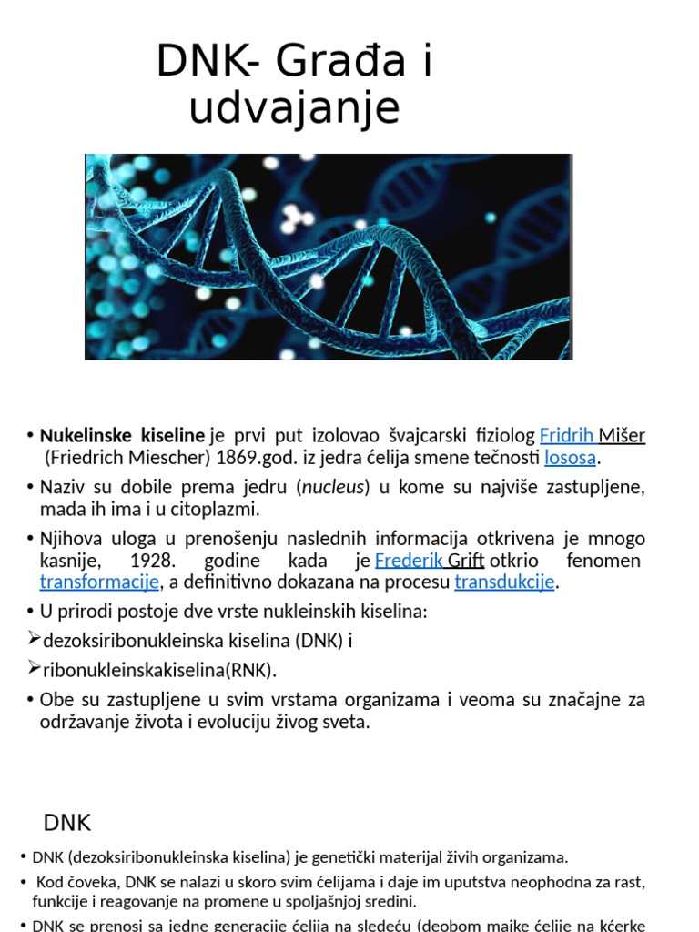 DNK - Građa I Udvajanje | PDF