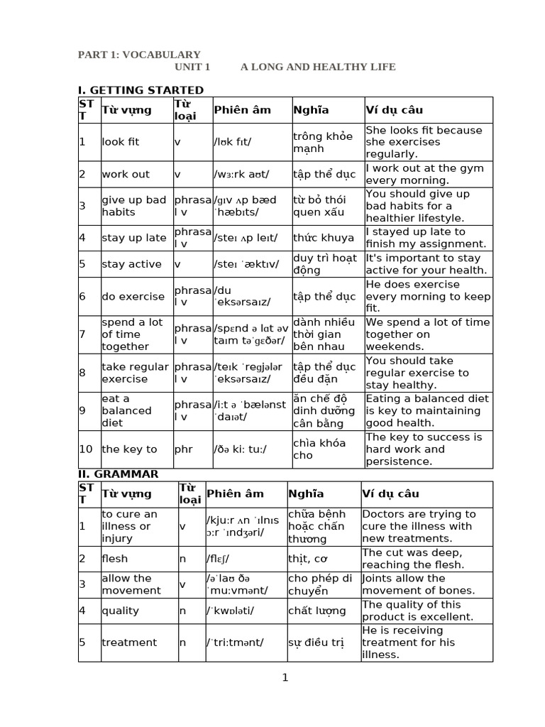 K11-Vocab & Grammar | PDF
