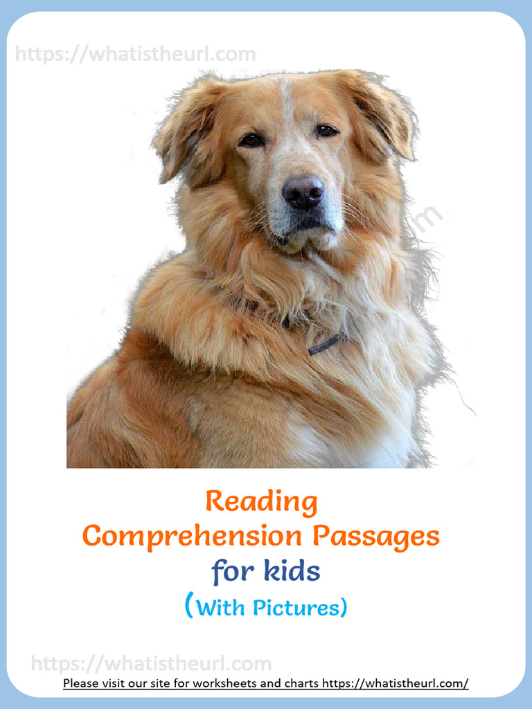 Reading Comprehension For Kids Exercise 14 | PDF