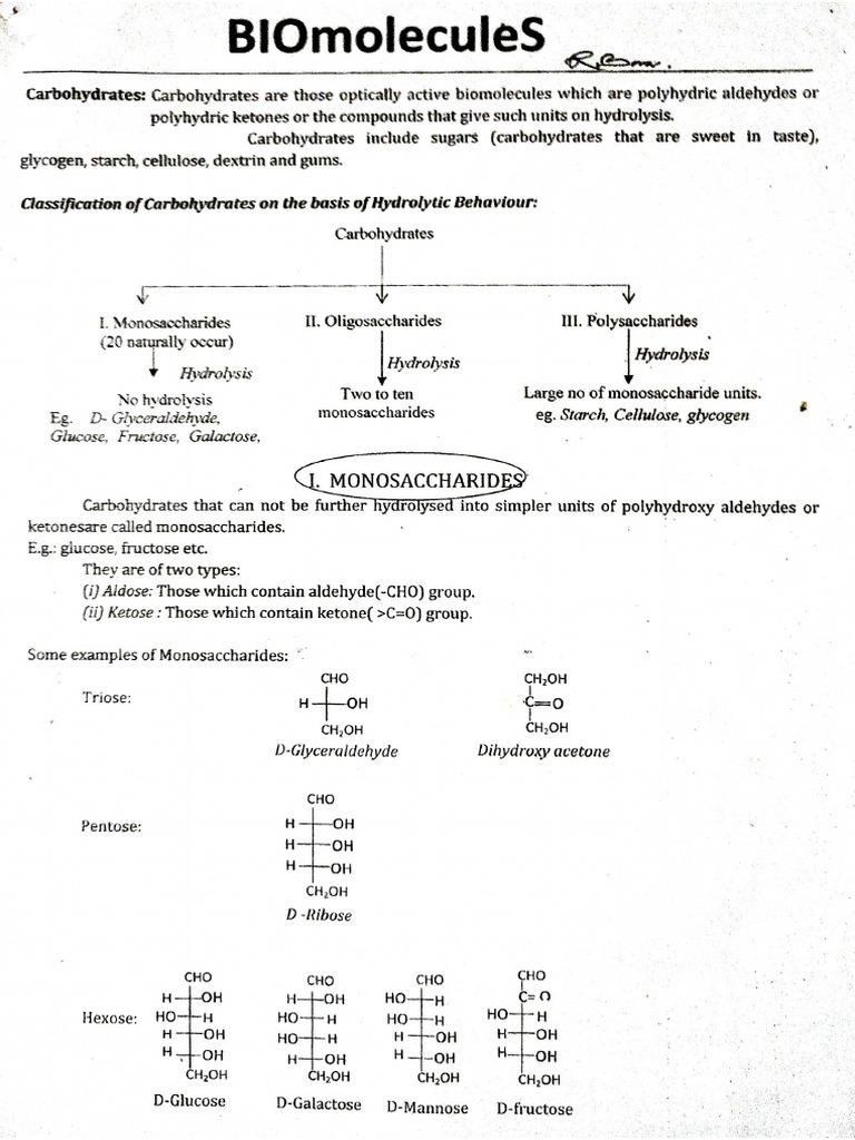 Biomolecules | PDF