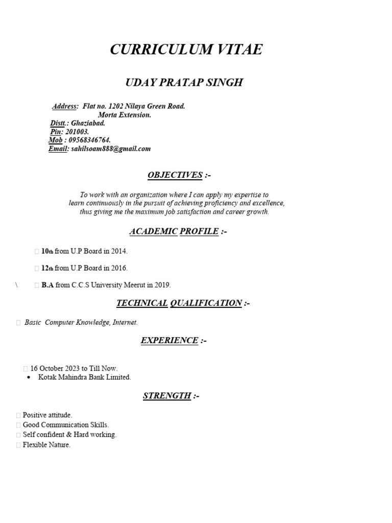 Sahil New Resume Ad | PDF