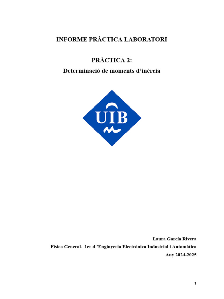 Informe Práctica Lab Individual | PDF