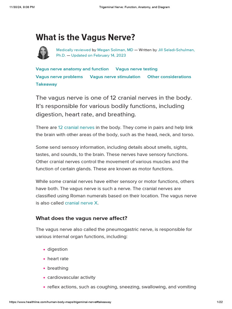 vagus nerve | PDF | Vagus Nerve | Arm