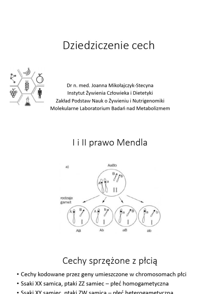 Dziedziczenie-cech | PDF