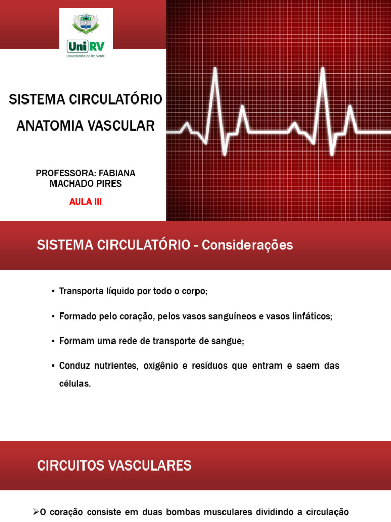 Anatomia Vascular e Circulação Sanguínea | PDF | Sistema circulatório ...