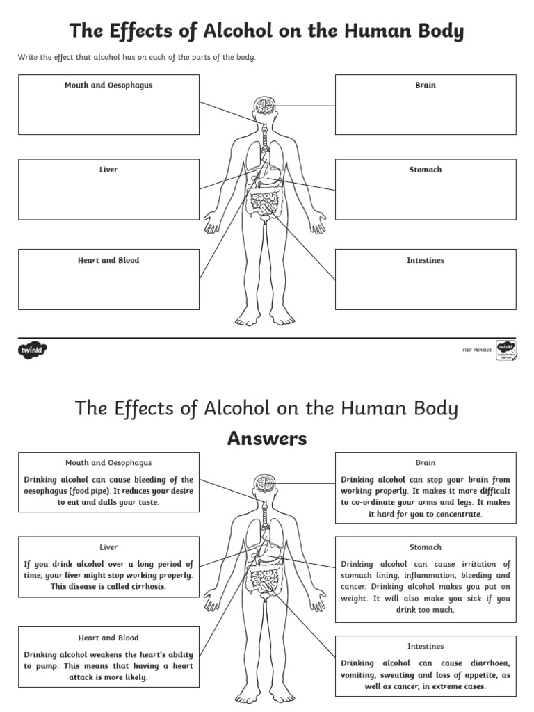 Roi2 P 64 The Effects of Alcohol On The Body Activity Sheet | PDF