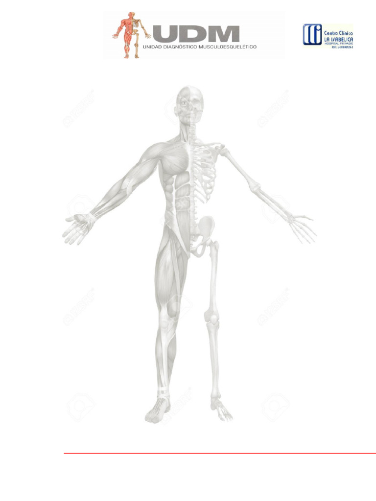 UROTAC Simple: Litiasis Renal Bilateral | PDF | Abdomen | Riñón
