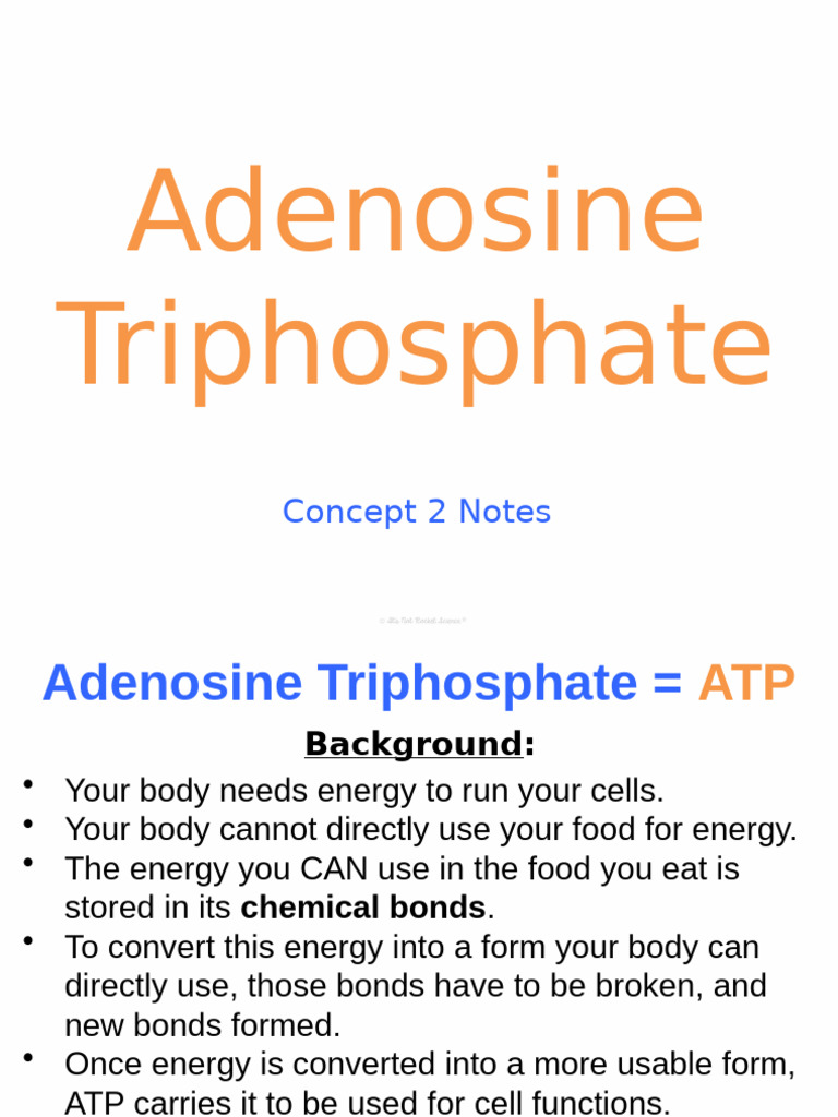 Understanding Adenosine Triphosphate (ATP) | PDF | Adenosine ...