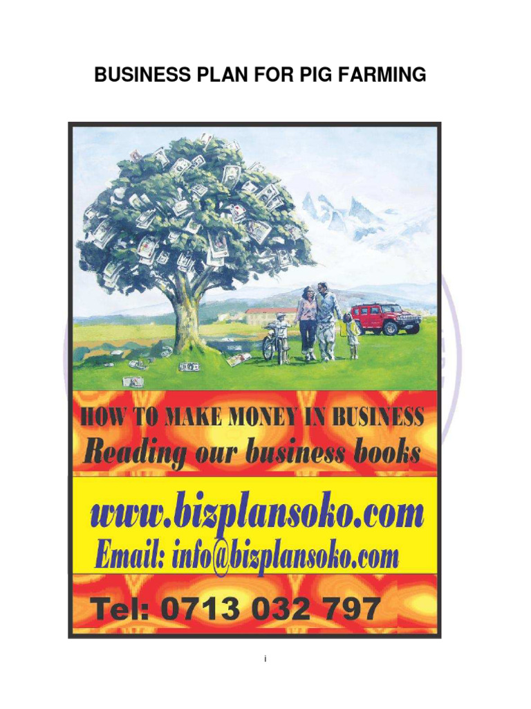 Pig Farming Business Plan Overview | PDF