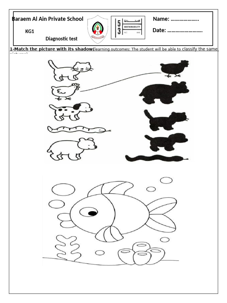 KG1 Diagnostic Test Activities | PDF