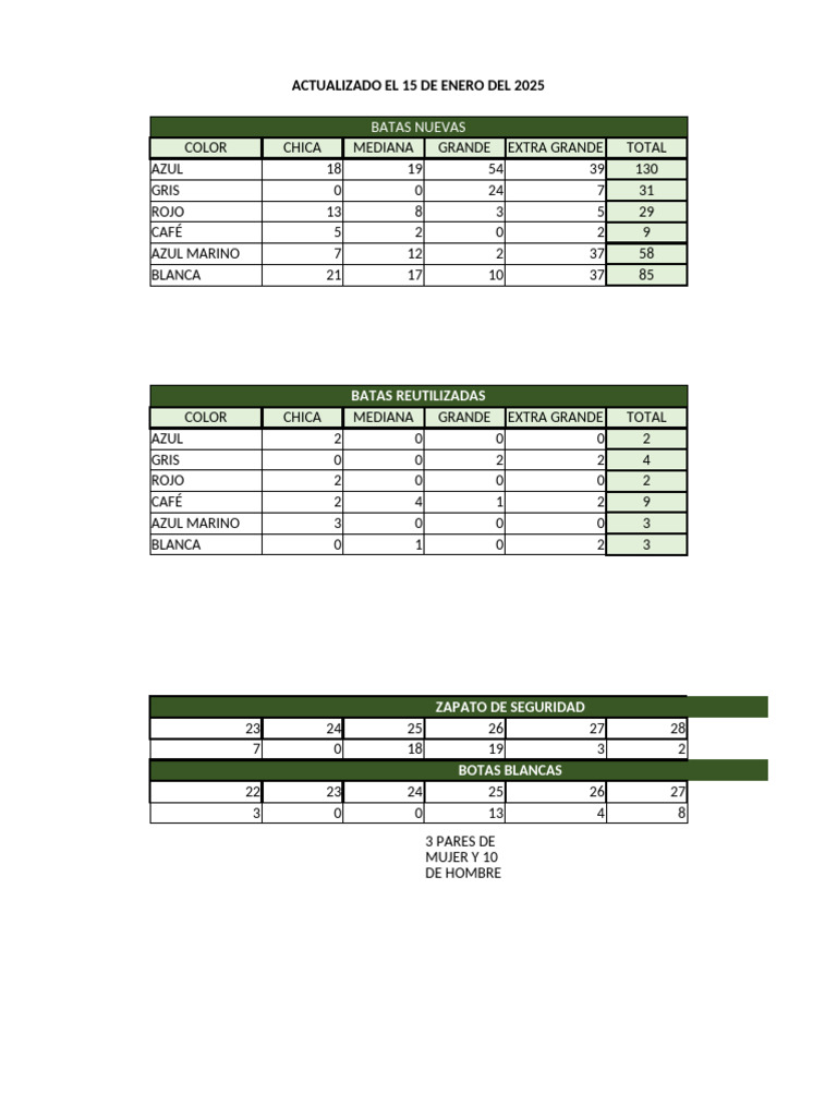 Inventario de Epp | PDF