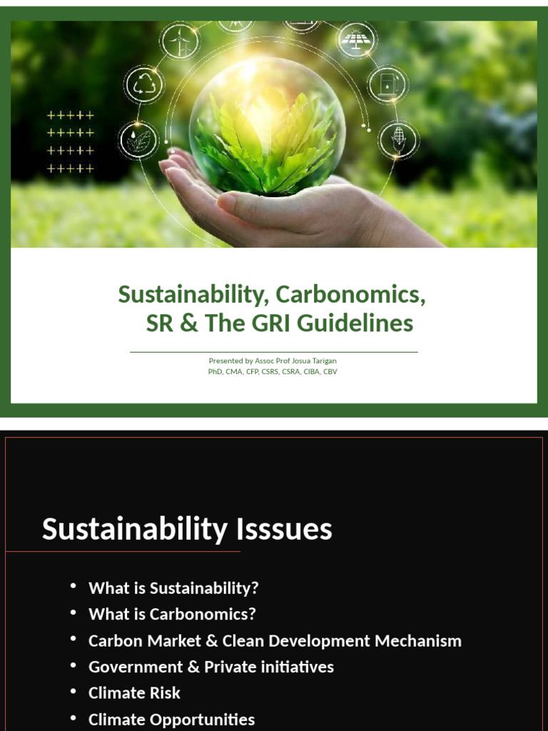 Sustainability Reporting - Challenges Issues | PDF | Economy And The ...