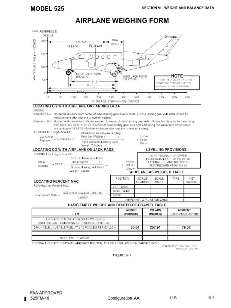 airpalne weighing form | PDF