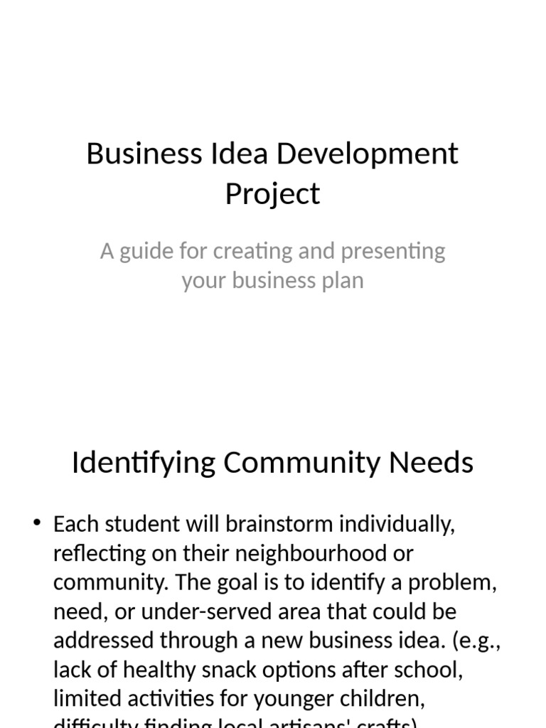 Business Idea Development Projectj | PDF