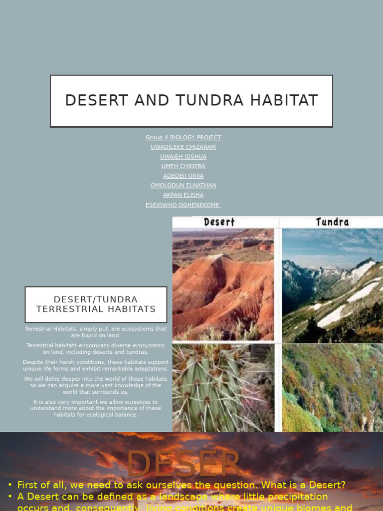 Desert and Tundra Habitat Overview | PDF | Desert | Habitat
