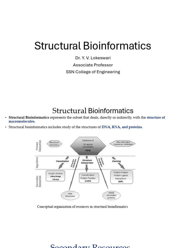 Lecture3 Structural Bioinformatics Secondary Resources Pdf Protein