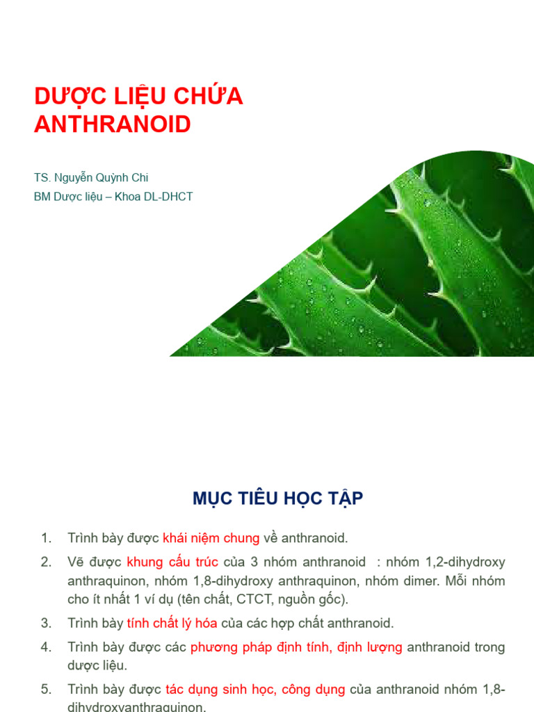 (DL1) Anthranoid | PDF